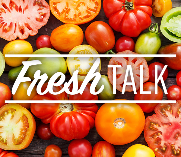 Easy tomato recipes to make now | myfoodbook