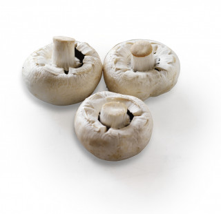 Barbecue Mushroom Salad Recipe | myfoodbook | Make a Mushrooms cookbook ...